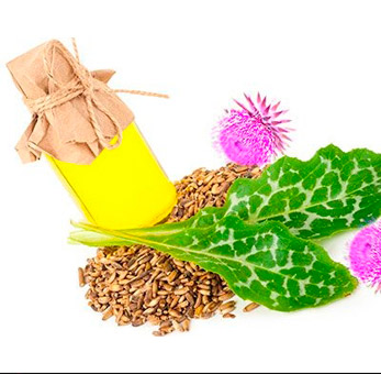 Milk thistle – N2Guard